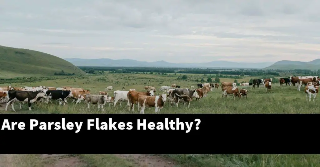 Are Parsley Flakes Healthy? - Outdoor Herb Garden