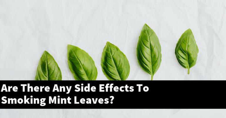Are There Any Side Effects To Smoking Mint Leaves? - Outdoor Herb Garden