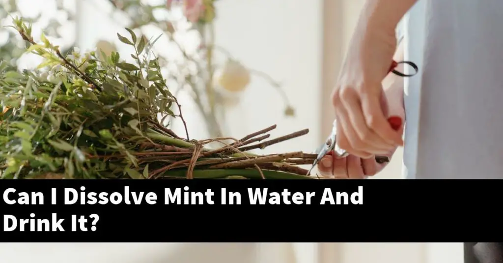 Can I Dissolve Mint In Water And Drink It? - Outdoor Herb Garden