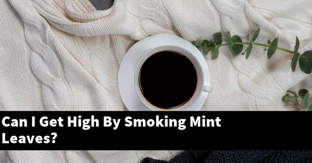 Can I Get High By Smoking Mint Leaves? - Outdoor Herb Garden
