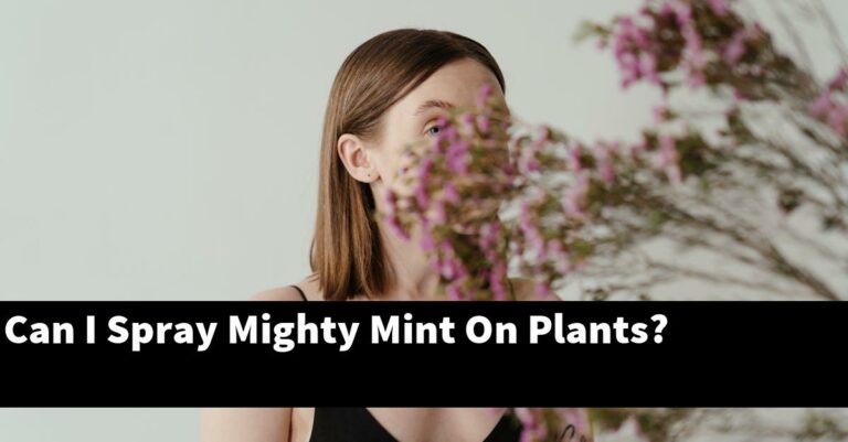 Can I Spray Mighty Mint On Plants? - Outdoor Herb Garden