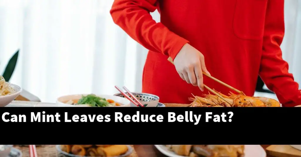 Can Mint Leaves Reduce Belly Fat? - Outdoor Herb Garden