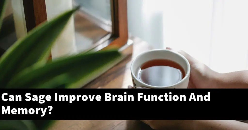 Can Sage Improve Brain Function And Memory? - Outdoor Herb Garden