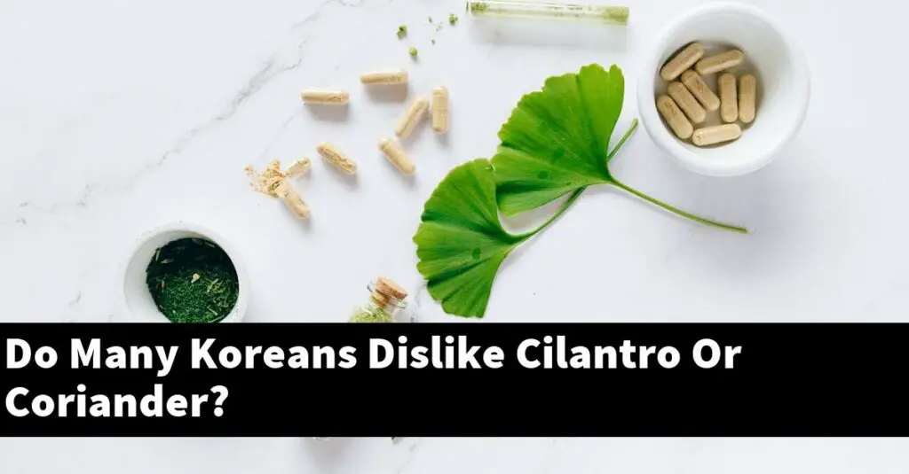 Do Many Koreans Dislike Cilantro Or Coriander? - Outdoor Herb Garden