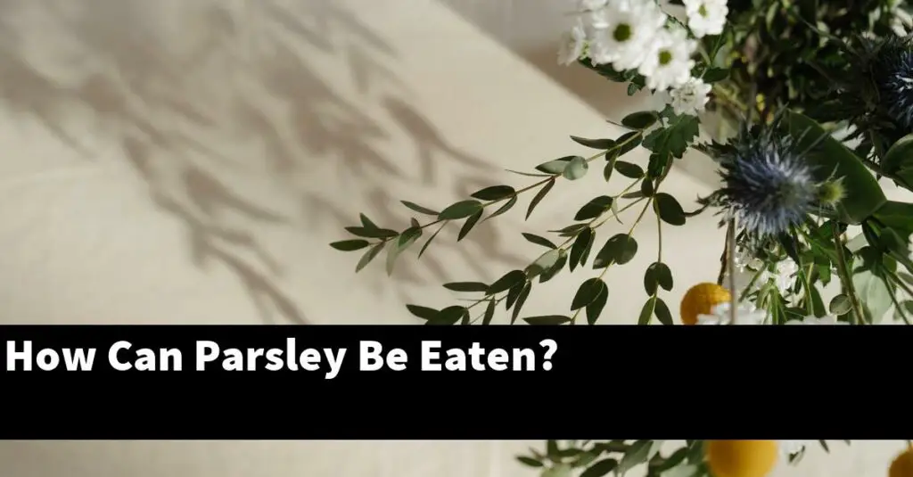 How Can Parsley Be Eaten? - Outdoor Herb Garden