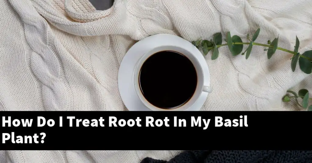 How Do I Treat Root Rot In My Basil Plant? - Outdoor Herb Garden