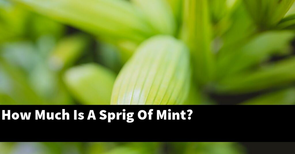 How Much Is A Sprig Of Mint? - Outdoor Herb Garden
