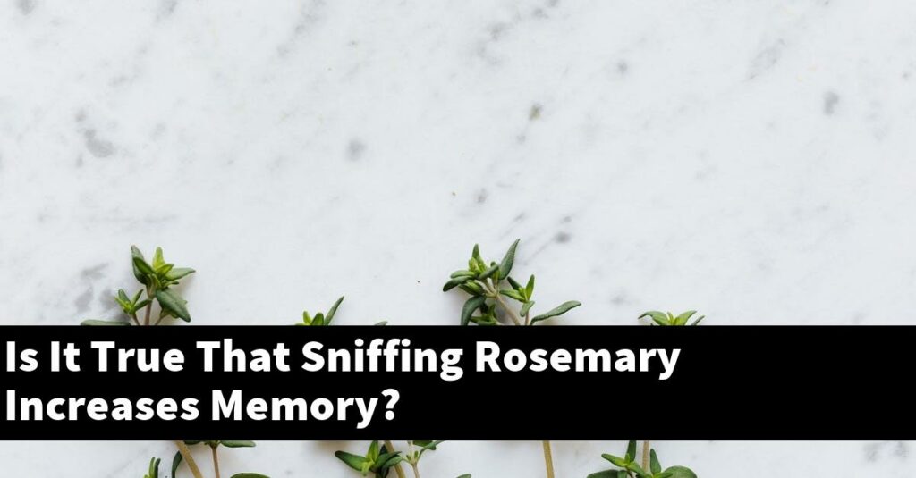 Is It True That Sniffing Rosemary Increases Memory? - Outdoor Herb Garden