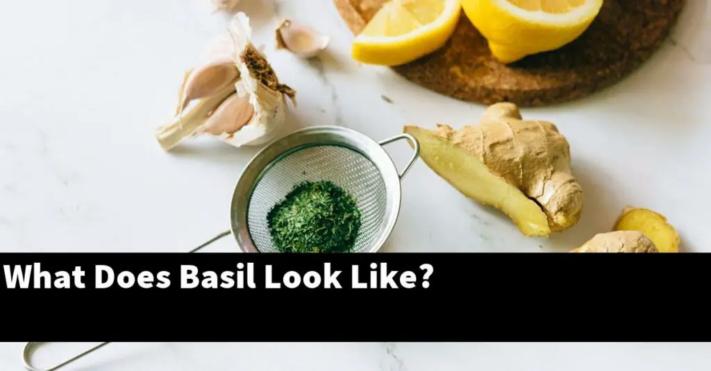 What Does Basil Look Like? - Outdoor Herb Garden