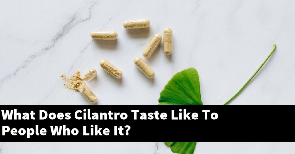 What Does Cilantro Taste Like To People Who Like It? - Outdoor Herb Garden
