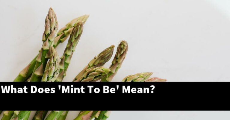 What Does 'Mint To Be' Mean? - Outdoor Herb Garden