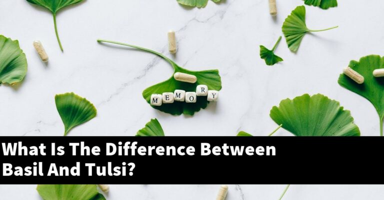 What Is The Difference Between Basil And Tulsi? - Outdoor Herb Garden
