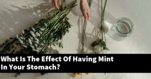 What Is The Effect Of Having Mint In Your Stomach? - Outdoor Herb Garden