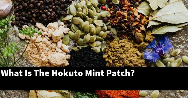 What Is The Hokuto Mint Patch? - Outdoor Herb Garden