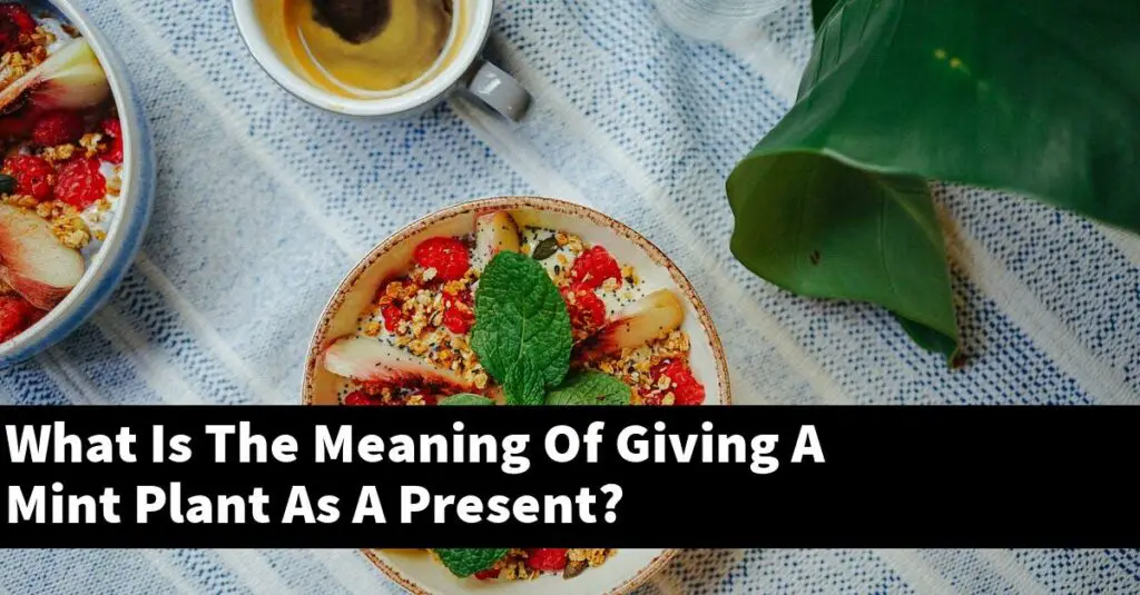 What Is The Meaning Of Giving A Mint Plant As A Present? - Outdoor Herb ...