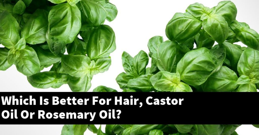 Which Is Better For Hair, Castor Oil Or Rosemary Oil? - Outdoor Herb Garden